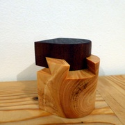 Shihou-ari-tsugi par Xylocopa sur L'Air du Bois