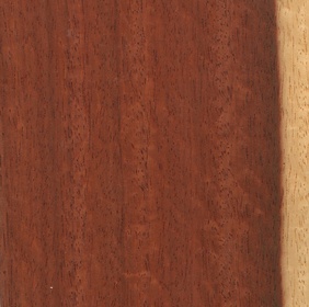 Padouk sur L'Air du Bois