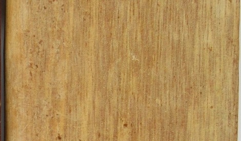 Andoung sur L'Air du Bois