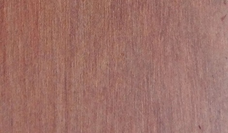 Chêne rouge sur L'Air du Bois