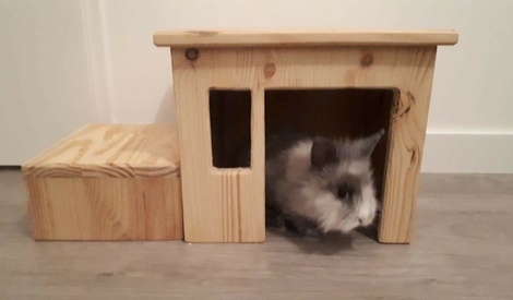 Maison lapin par FranDesch sur L'Air du Bois