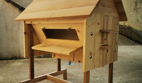 Ruche Kenyane par DidierT sur L'Air du Bois