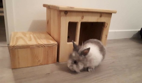 Maison lapin par FranDesch sur L'Air du Bois