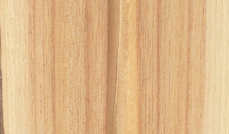 Mélia faux Neem sur L'Air du Bois