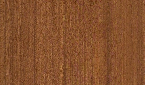 Kosipo sur L'Air du Bois