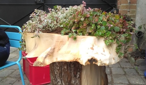 Pot à succulentes par Sucho sur L'Air du Bois