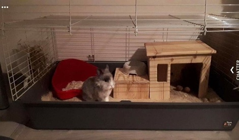 Maison lapin par FranDesch sur L'Air du Bois