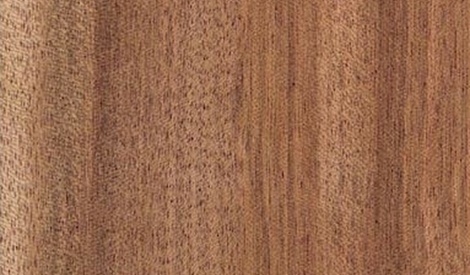 Tiama sur L'Air du Bois