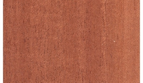 Acajou d'Afrique sur L'Air du Bois