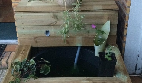 Mon Bassin de 90 litres par Fanou-Tygouan sur L'Air du Bois