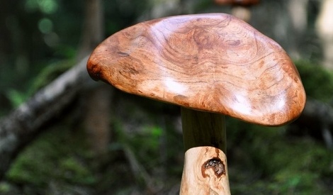 Le Champi v2 par Leboletus sur L'Air du Bois