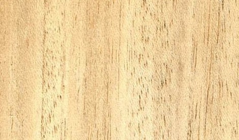 Fromager sur L'Air du Bois