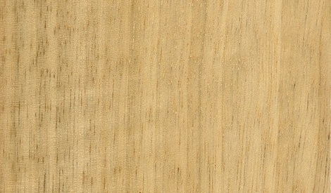 Fraké sur L'Air du Bois