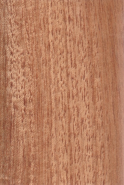 Niangon sur L'Air du Bois