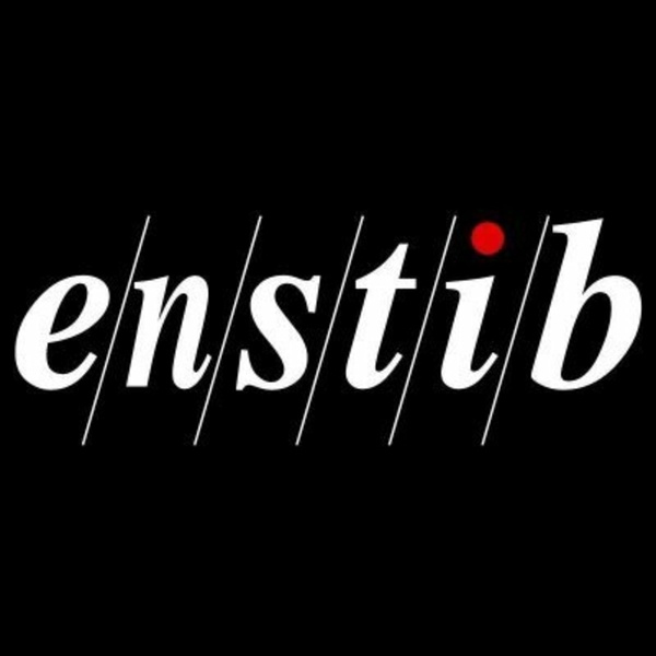 ENSTIB - Ecole Nationale Supérieure des Technologies et Industries du ...