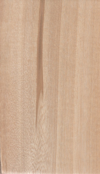 Jacaranda sur L'Air du Bois