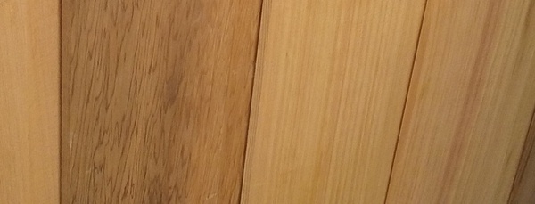 Cèdre rouge d'Amérique sur L'Air du Bois