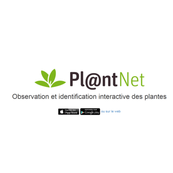 Plant Net sur L'Air du Bois
