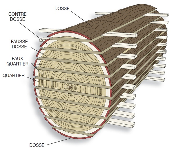 [Pas à pas] Enseignement du bois - Les familles du bois : Feuillus ...