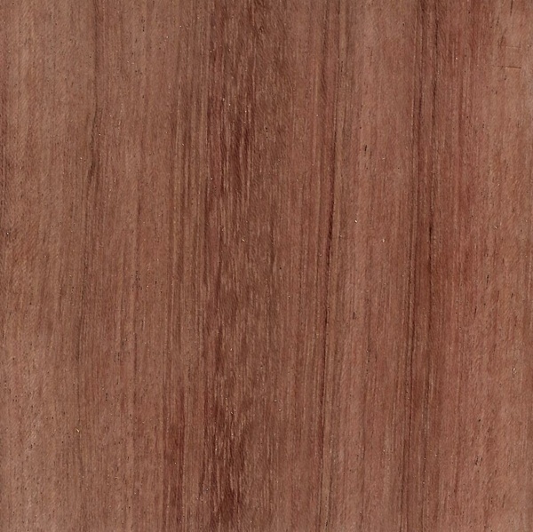 Kevazingo sur L'Air du Bois